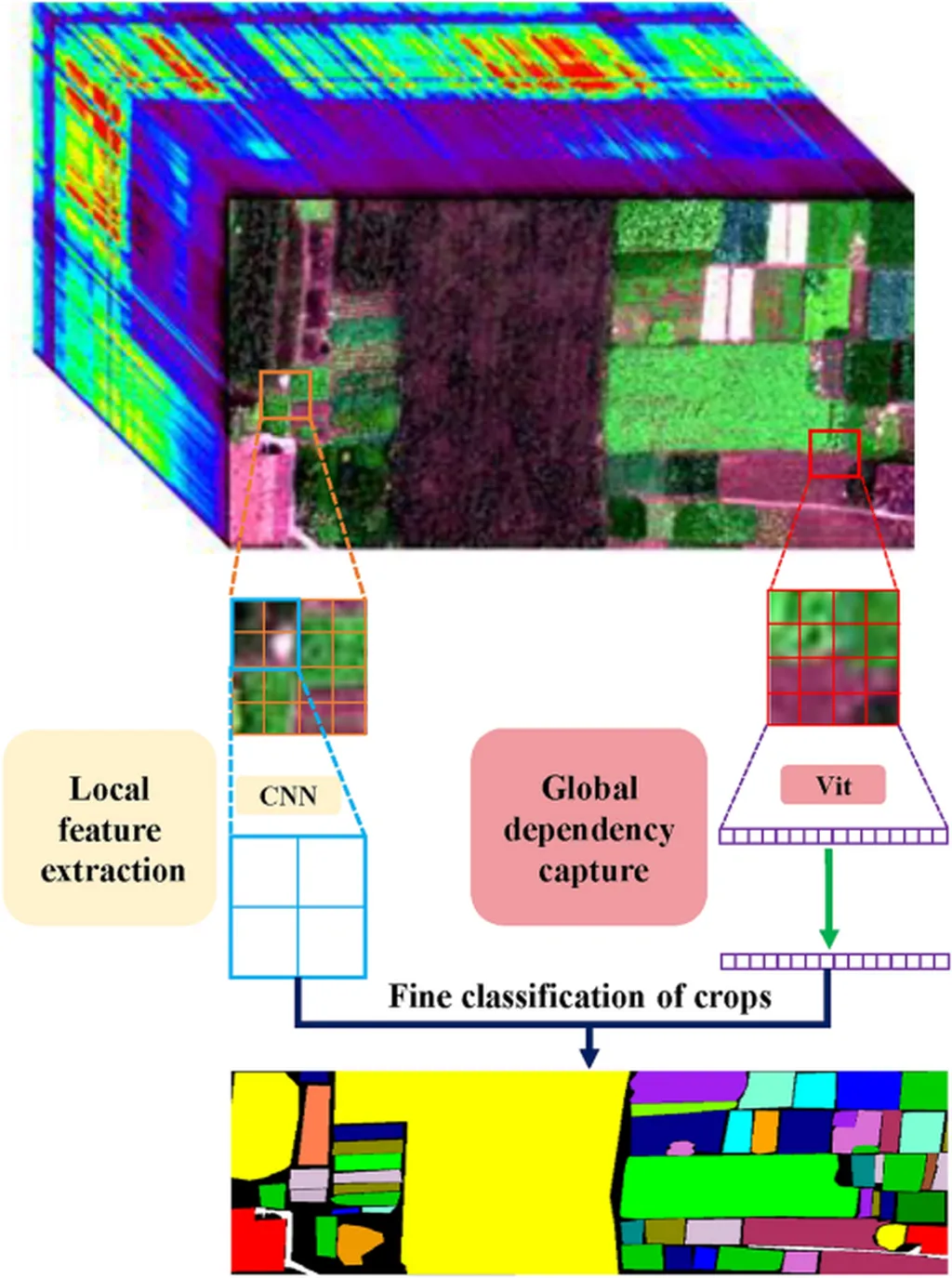 China’s Hybrid-KANet Model Revolutionizes Crop Classification with Hyperspectral Imaging ...
