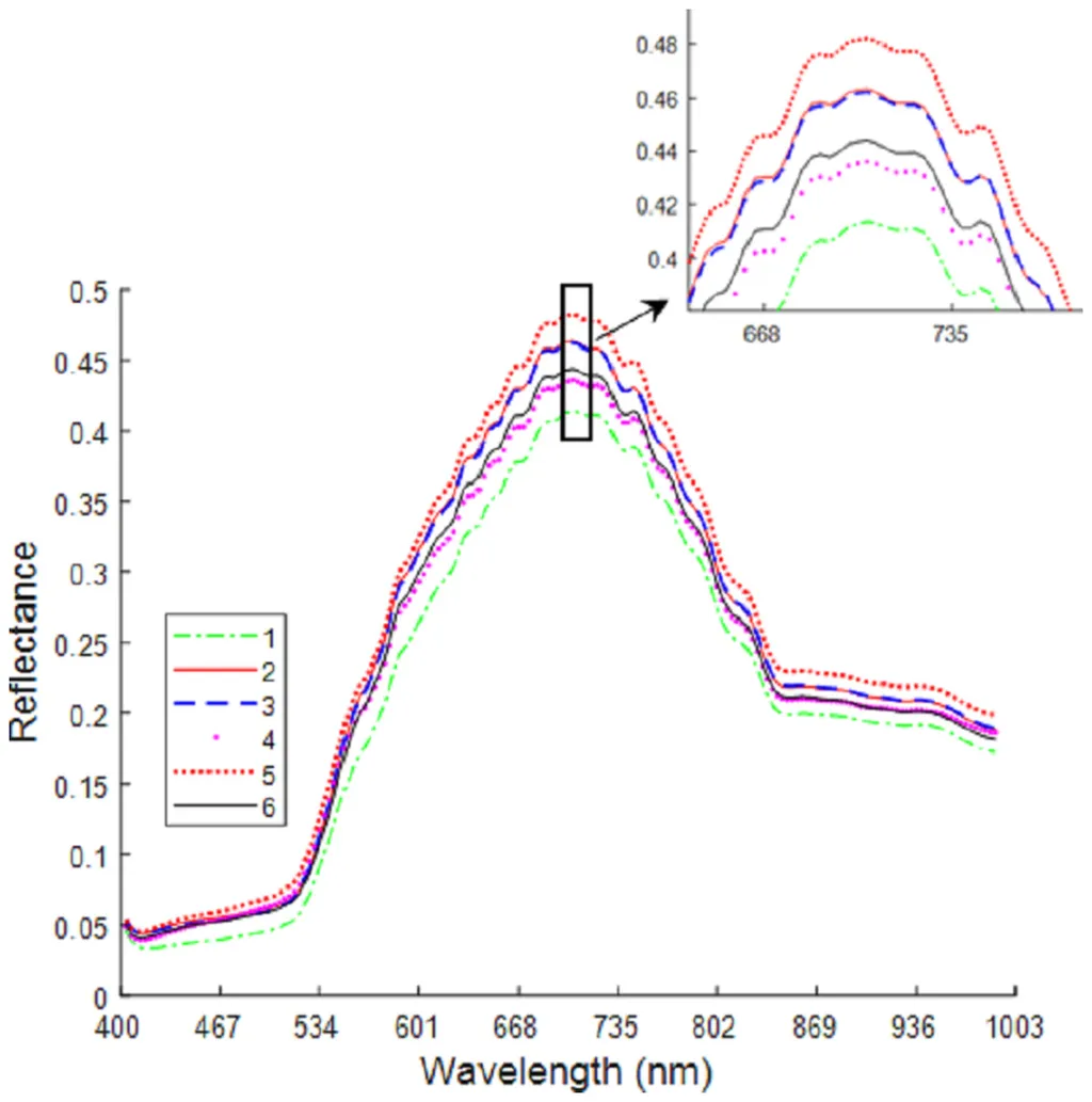 China’s Hyperspectral Imaging Breakthrough Elevates Maize Quality ...