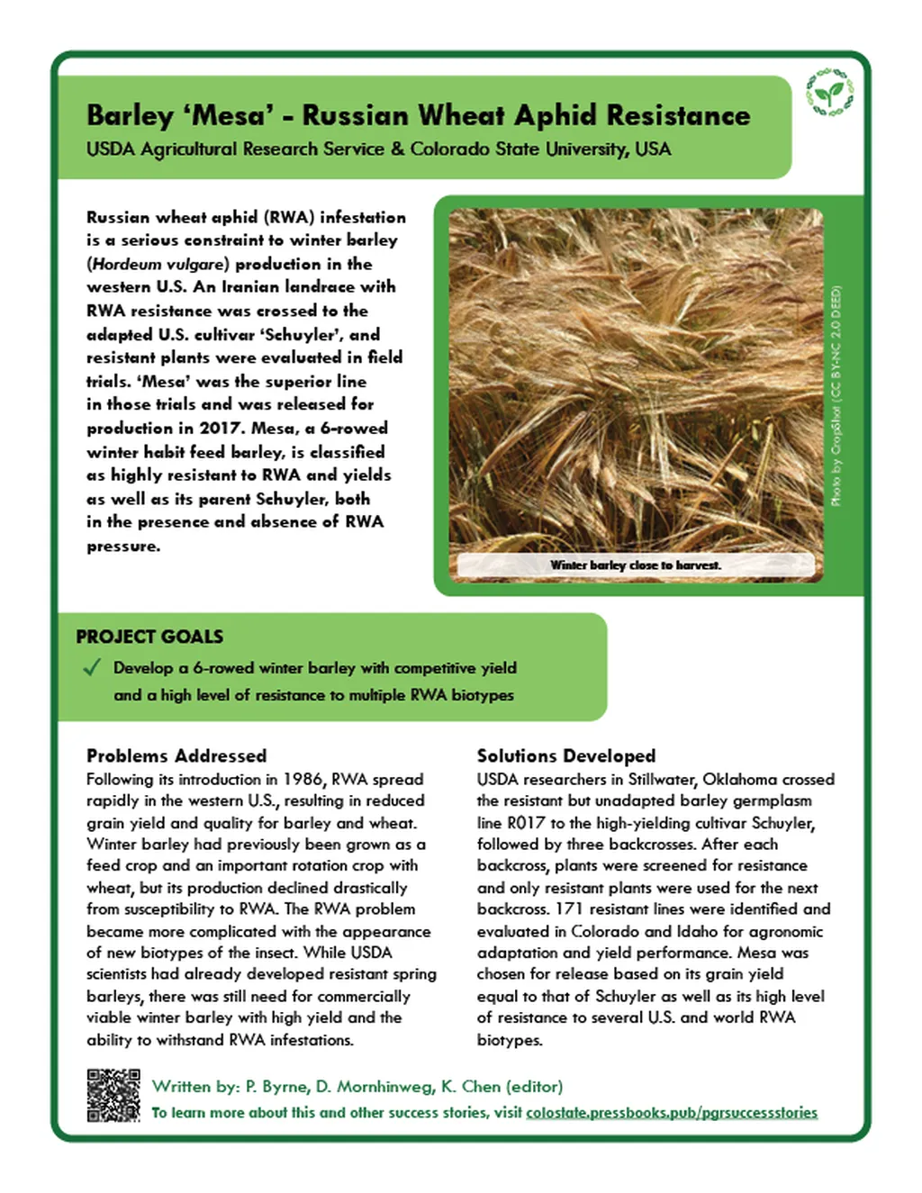 Barley Breakthrough: Cultivars Resist Russian Wheat Aphid Onslaught ...