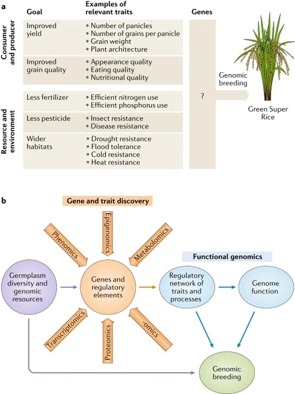 China’s Rice Revolution: Regional Traits and Genes Redefine Breeding ...