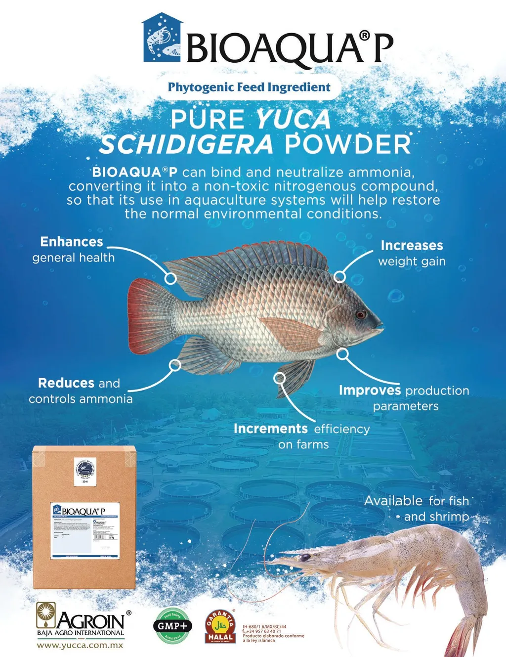 Molluscan Shell Powders Revolutionize Nile Tilapia Farming - AgriTech ...