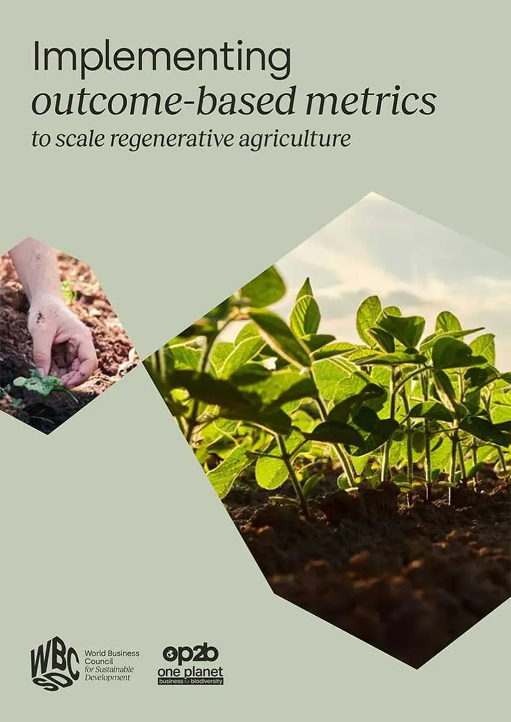 Standardized Metrics Key to Scaling Regenerative Agriculture - AgriTech ...