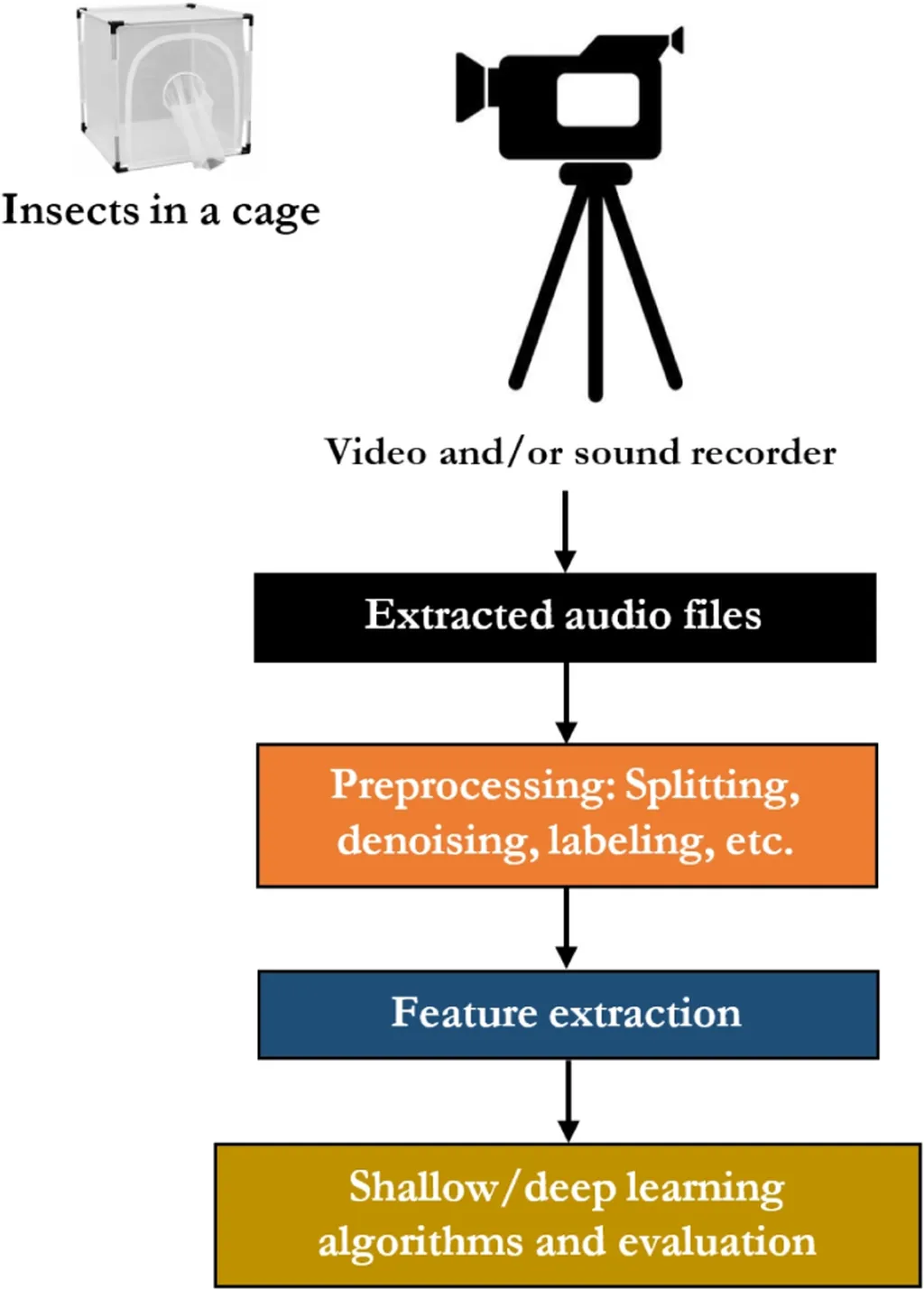 Deep Learning & Bioacoustics Team Up to Tackle Invasive Insects ...