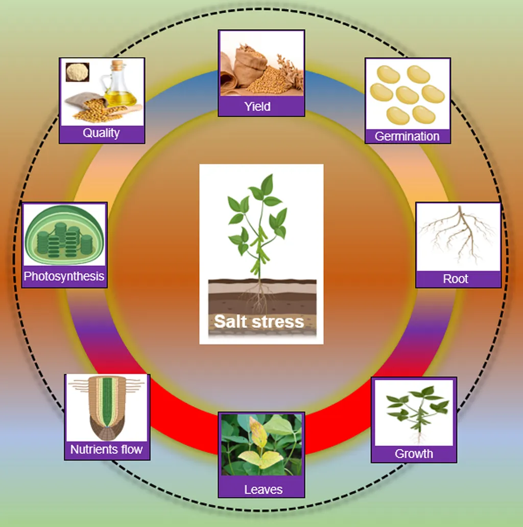 Chinese Researchers Uncover Soybean Salt Stress Secrets for Resilient ...