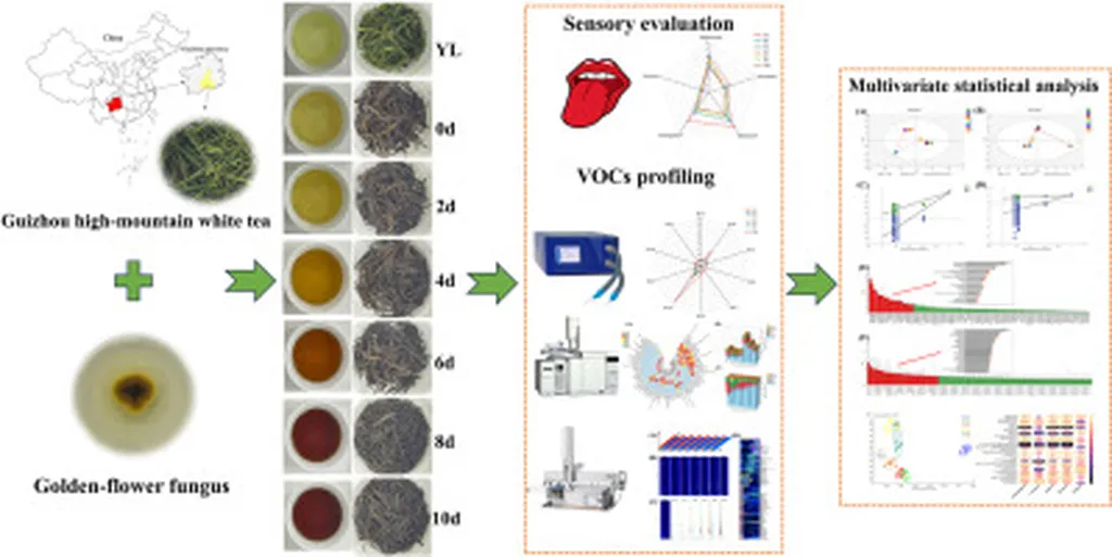 Guizhou Breakthrough: Fungus Fermentation Boosts Tea Plant Health ...