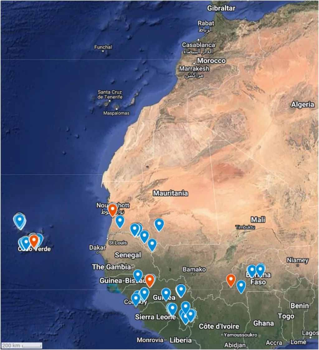 Morocco’s Agriculture Safeguarded: Study Maps Fall Armyworm Invasion ...
