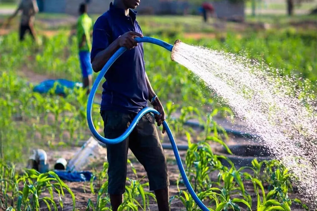 Northern Ghana’s Water Crisis: 68.7% Irrigation Loss Threatens Farming ...