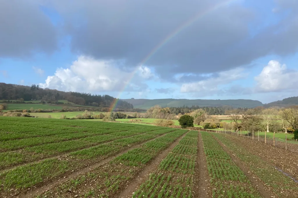 PeanutOmics Atlas Unlocks Genetic Secrets for Boosting Crop Resilience ...